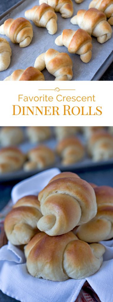 Favorite Dinner Roll Recipe | Barbara Bakes
