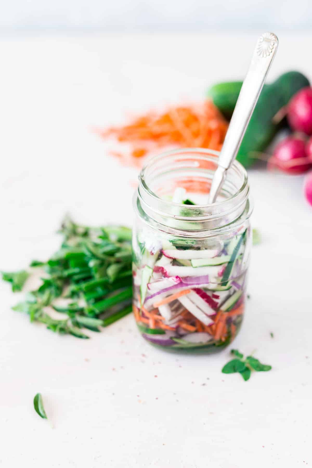 Pickled Red Onions And Cucumbers - Barbara Bakes™