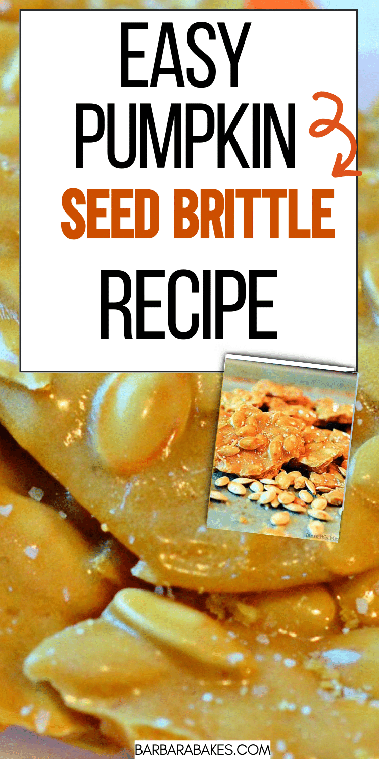 Crunchy, Salty-Sweet Pumpkin Seed Brittle Recipe - Barbara Bakes™