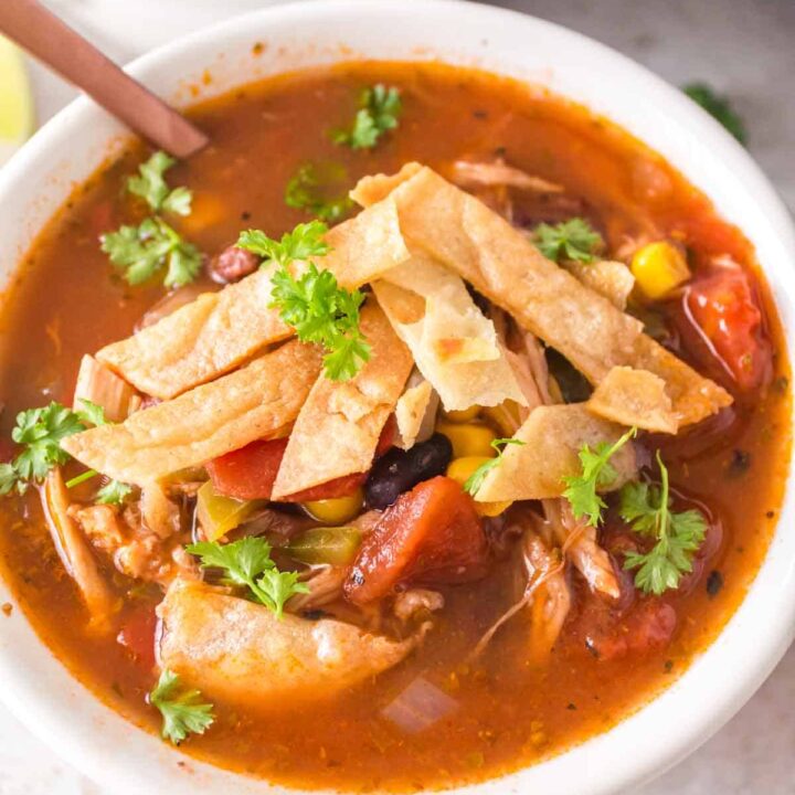 Easy Chicken Tortilla Soup With Rotisserie Chicken - Barbara Bakes™